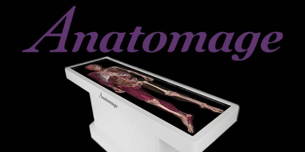 Blog - Anatomage